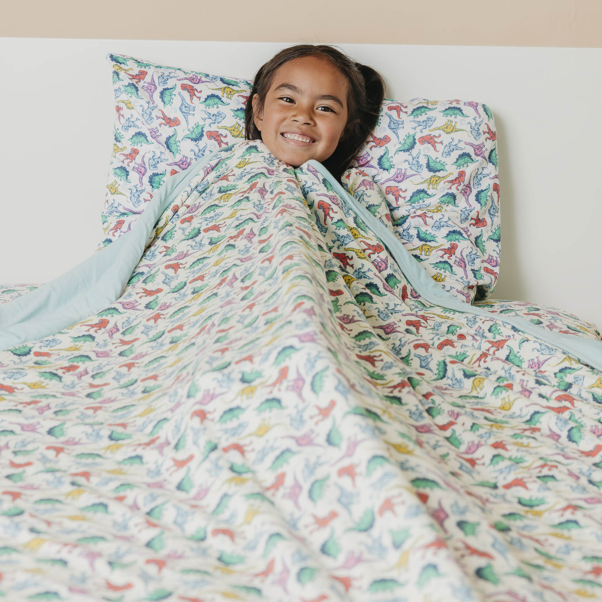 Twin Cloud Comforters – Copper Pearl