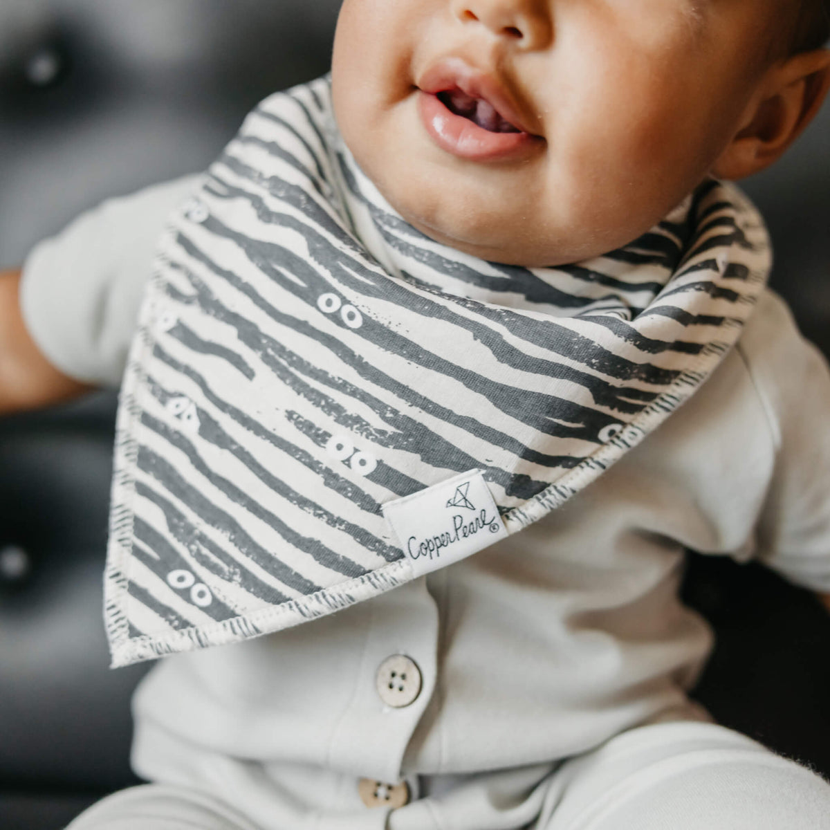 4 Pack Baby Bandana Bibs - Bones – Copper Pearl