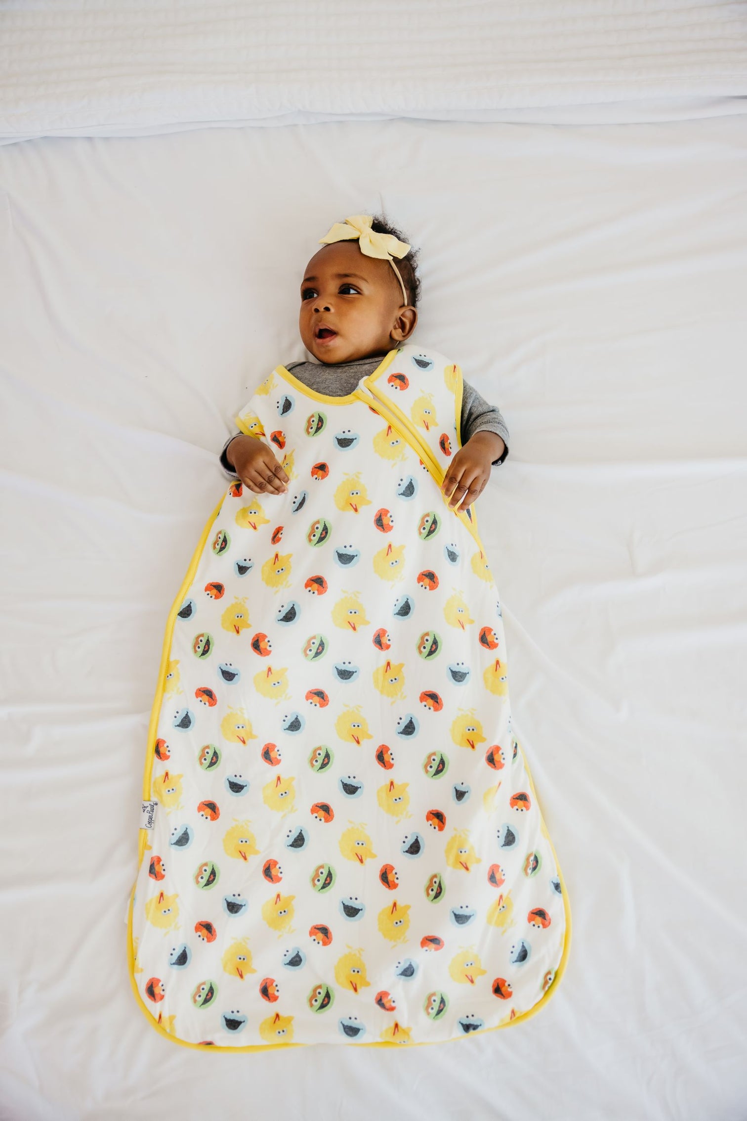 Sleep Bag - Sesame Scribbles – Copper Pearl